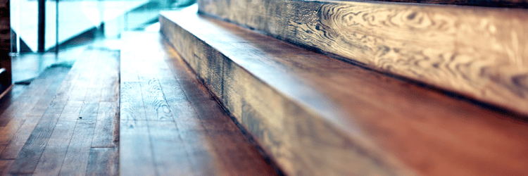 Case Study: Italian Hall Disaster of 1913