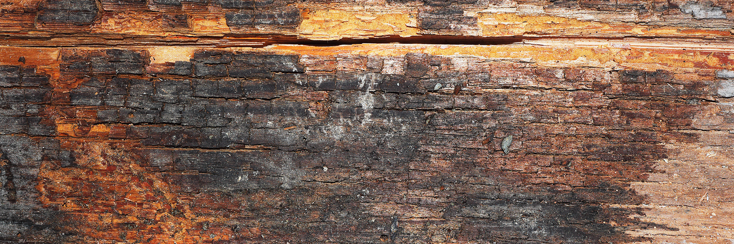 Case Study: Berkeley balcony collapse