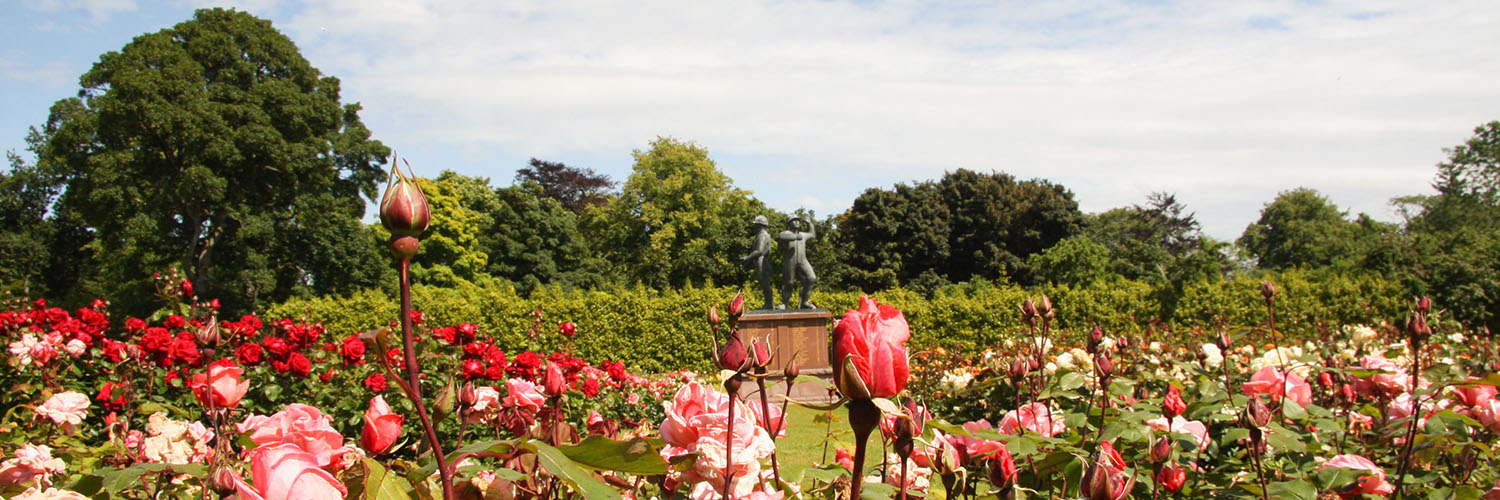 Piper Alpha & the Rose Garden Lessons from the Disaster 30 Years Later
